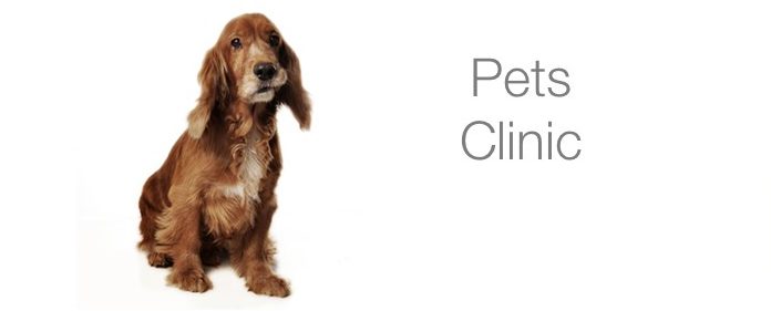 Animal Consent Form | Cumbria Osteopathy | Cumbria, Lancashire